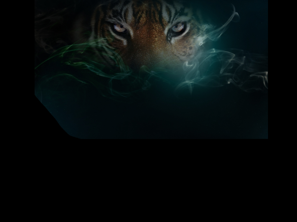 Denver Tae Kwon Do | Denver Tang Soo Do | Tiger Kim's Academy